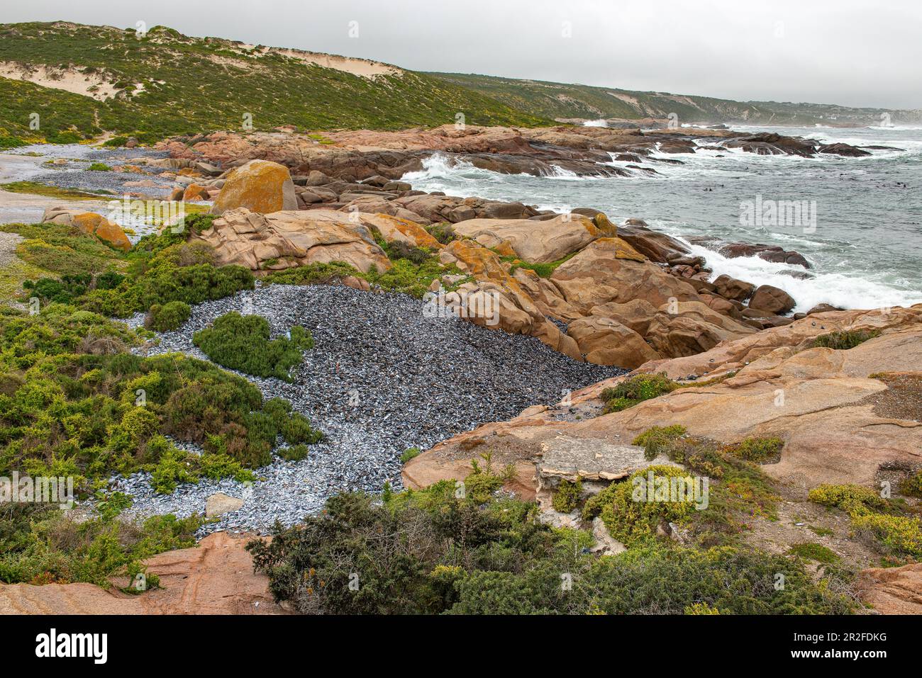 Coast, Cape Columbine Nature Reserve, Tietiesbaai, Western Cape, South ...