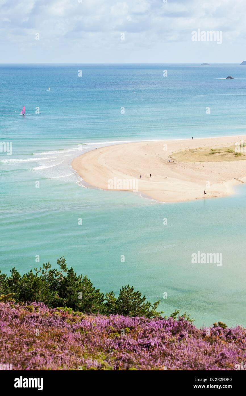 View of the Sable d Or Bay at Erquy during the heather blooming and ...