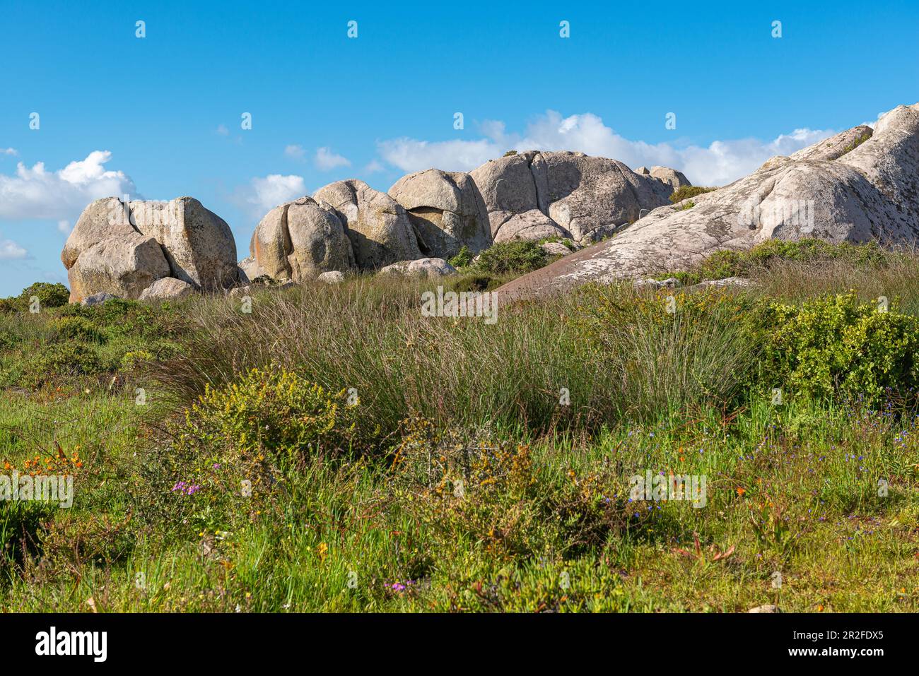 Postberg Section, West Coast National Park, Langebaan, Western Cape ...