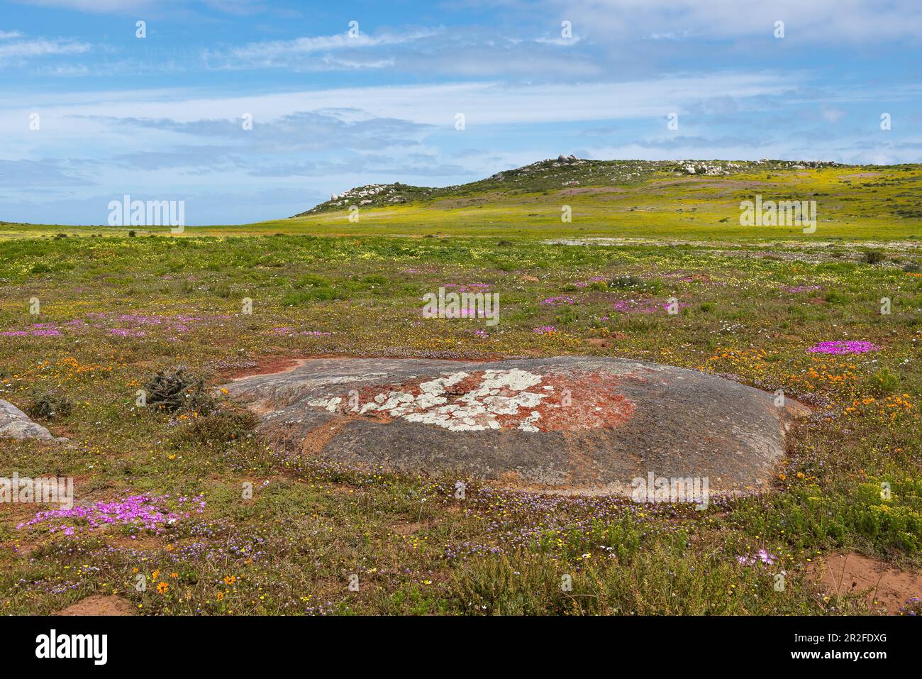 Postberg Section, West Coast National Park, Langebaan, Western Cape ...