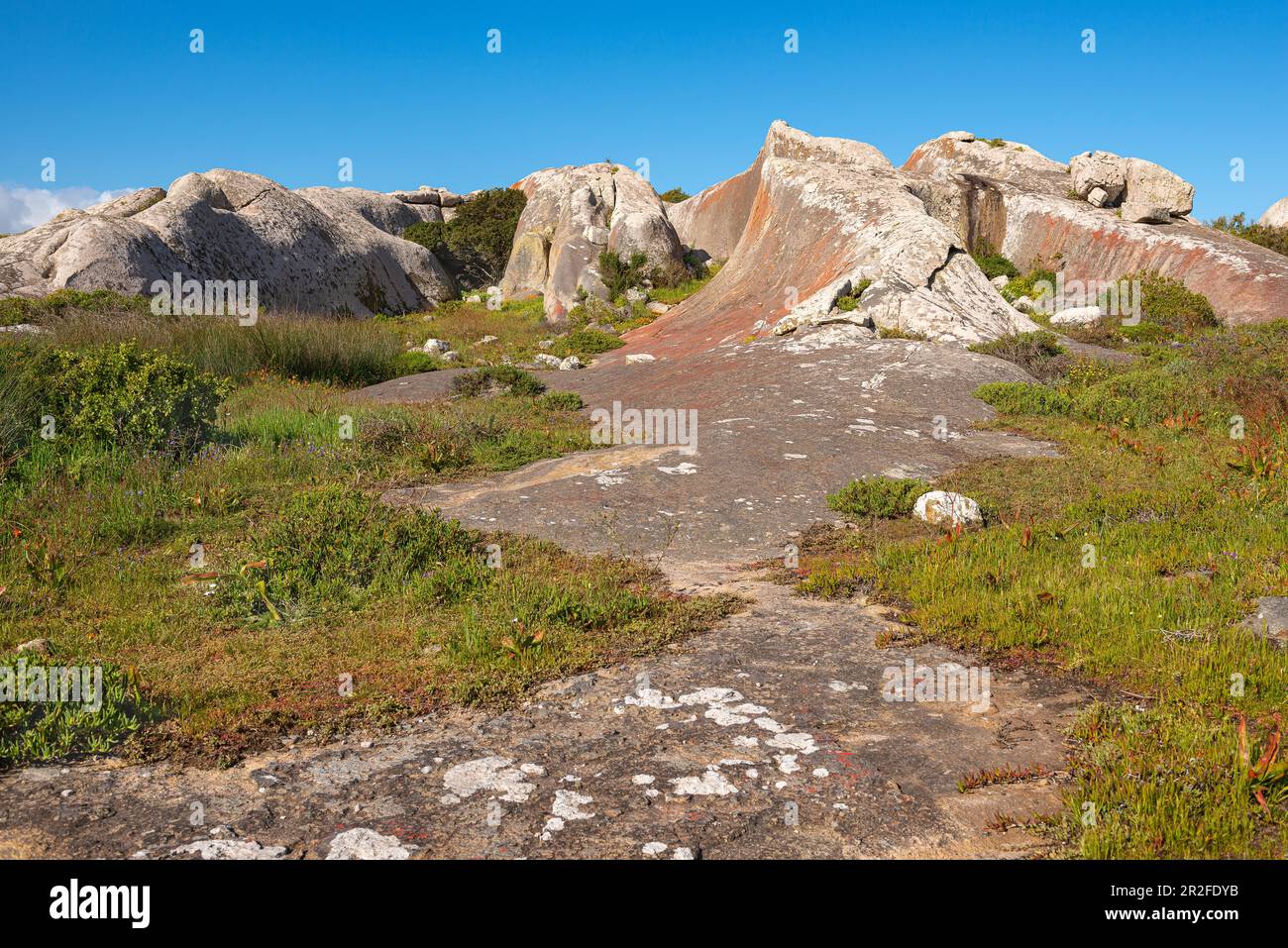 Postberg Section, West Coast National Park, Langebaan, Western Cape ...