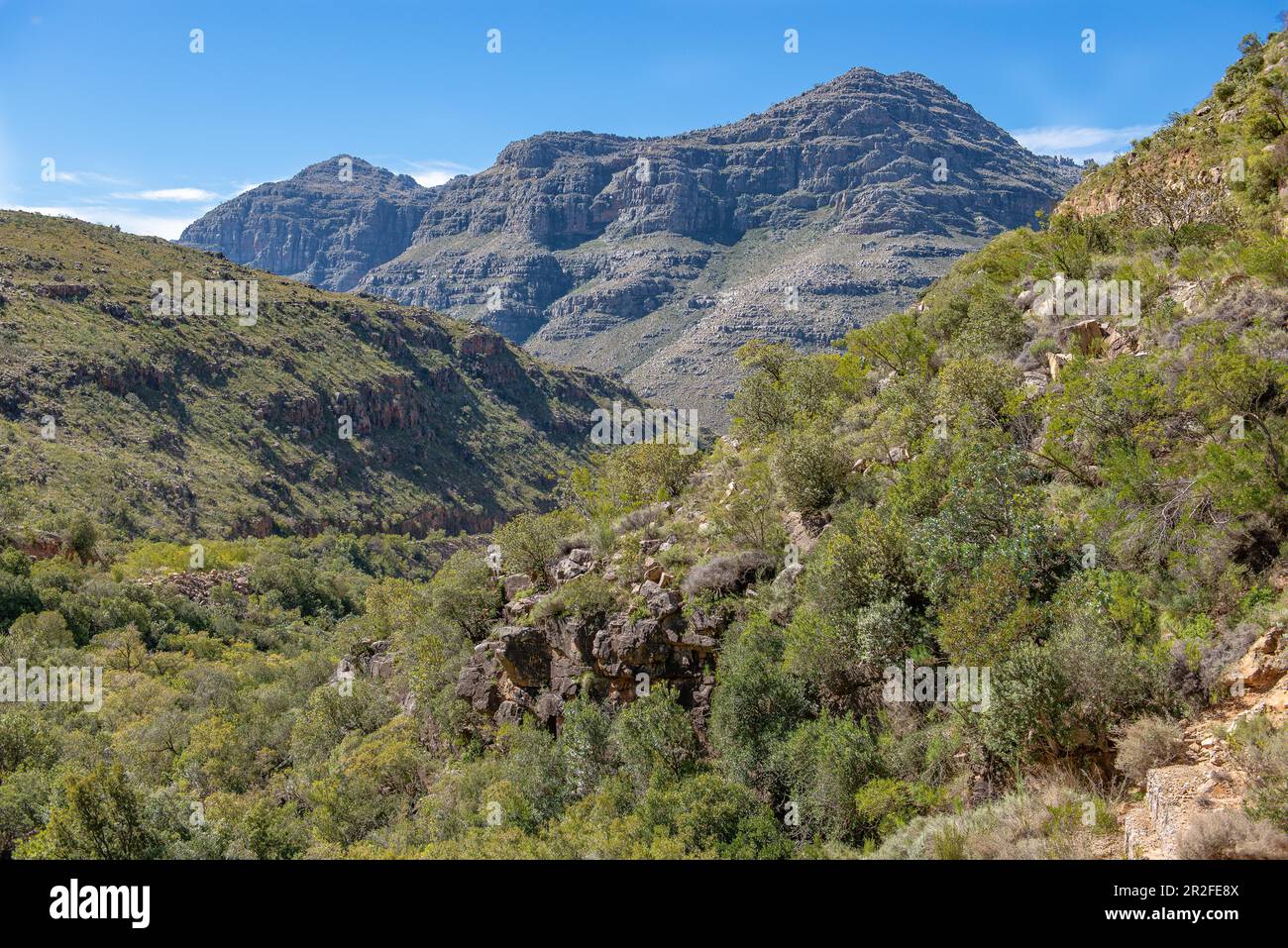 Uitkyk Pass, Cederberg Wilderness, Citrusdal, Western Cape, South ...