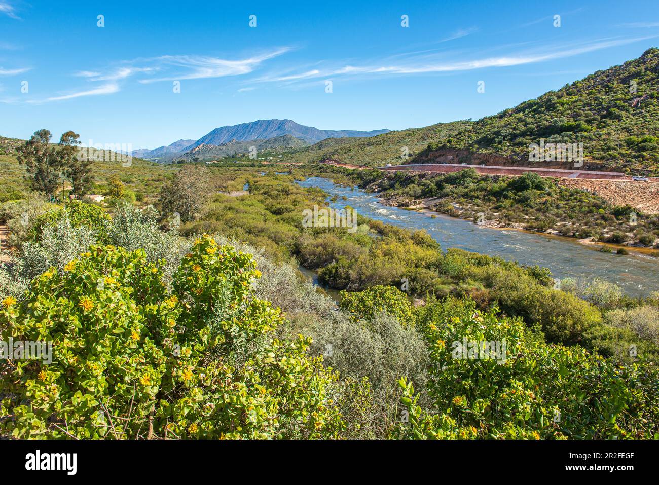 Citrusdal hi-res stock photography and images - Alamy