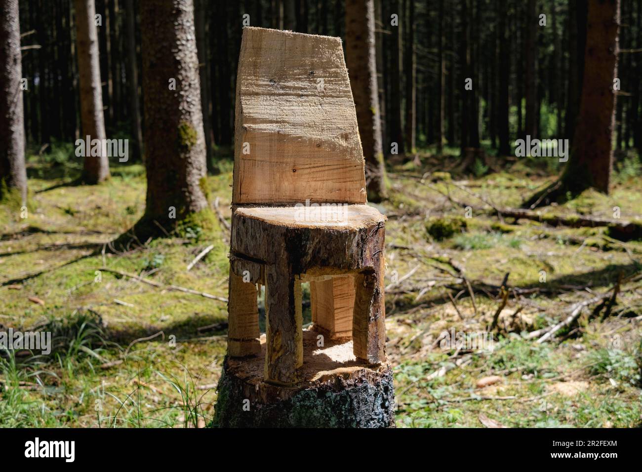 Symbolic image for furniture made of wood, forestry Stock Photo - Alamy
