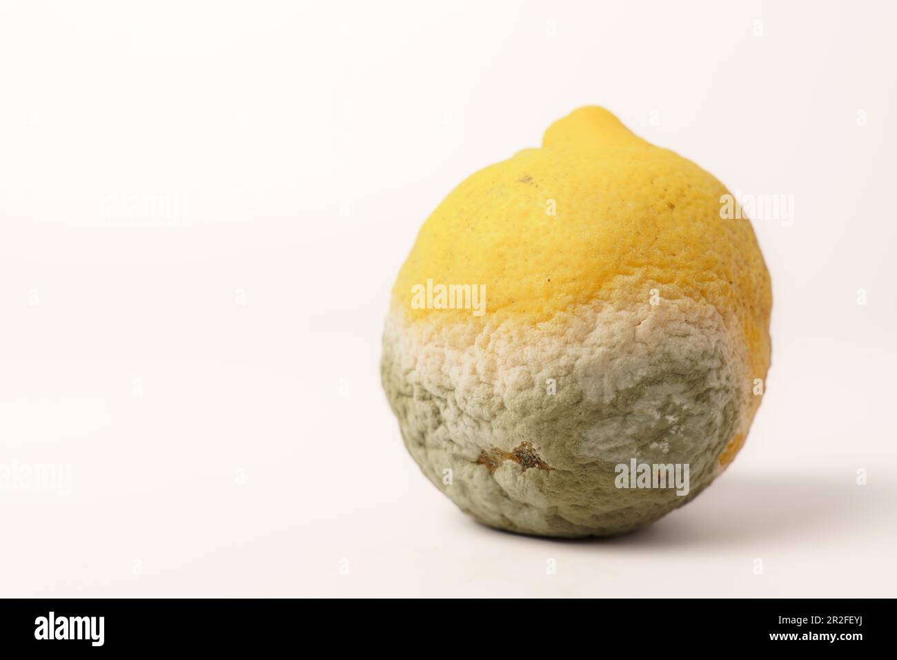 Closeup of a rotten lemon isolated on white background Stock Photo - Alamy