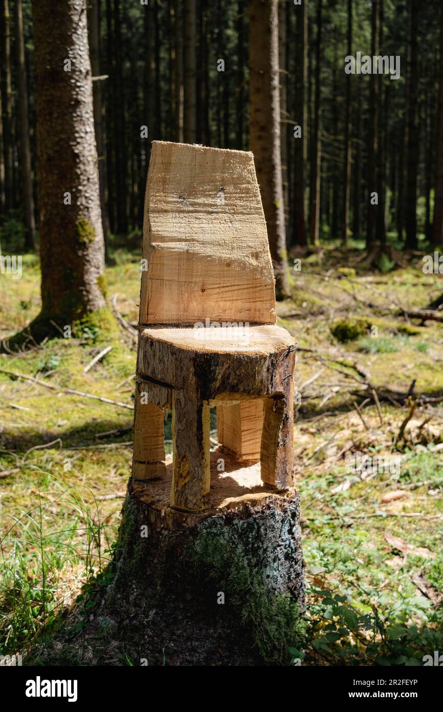 Symbolic image for furniture made of wood, forestry Stock Photo - Alamy