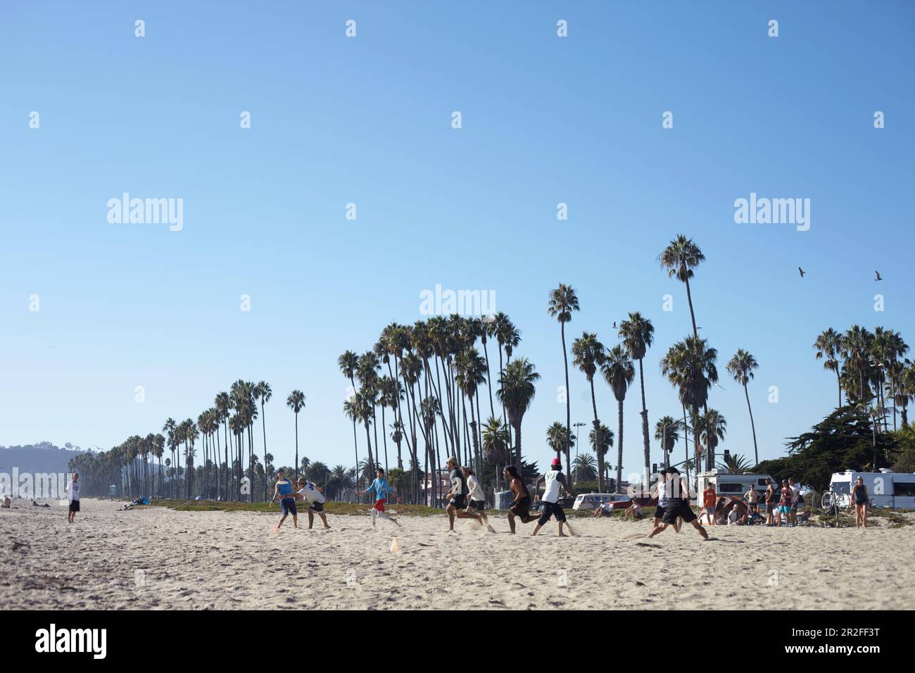 Playing frisbee on sunny beach hi-res stock photography and images - Alamy