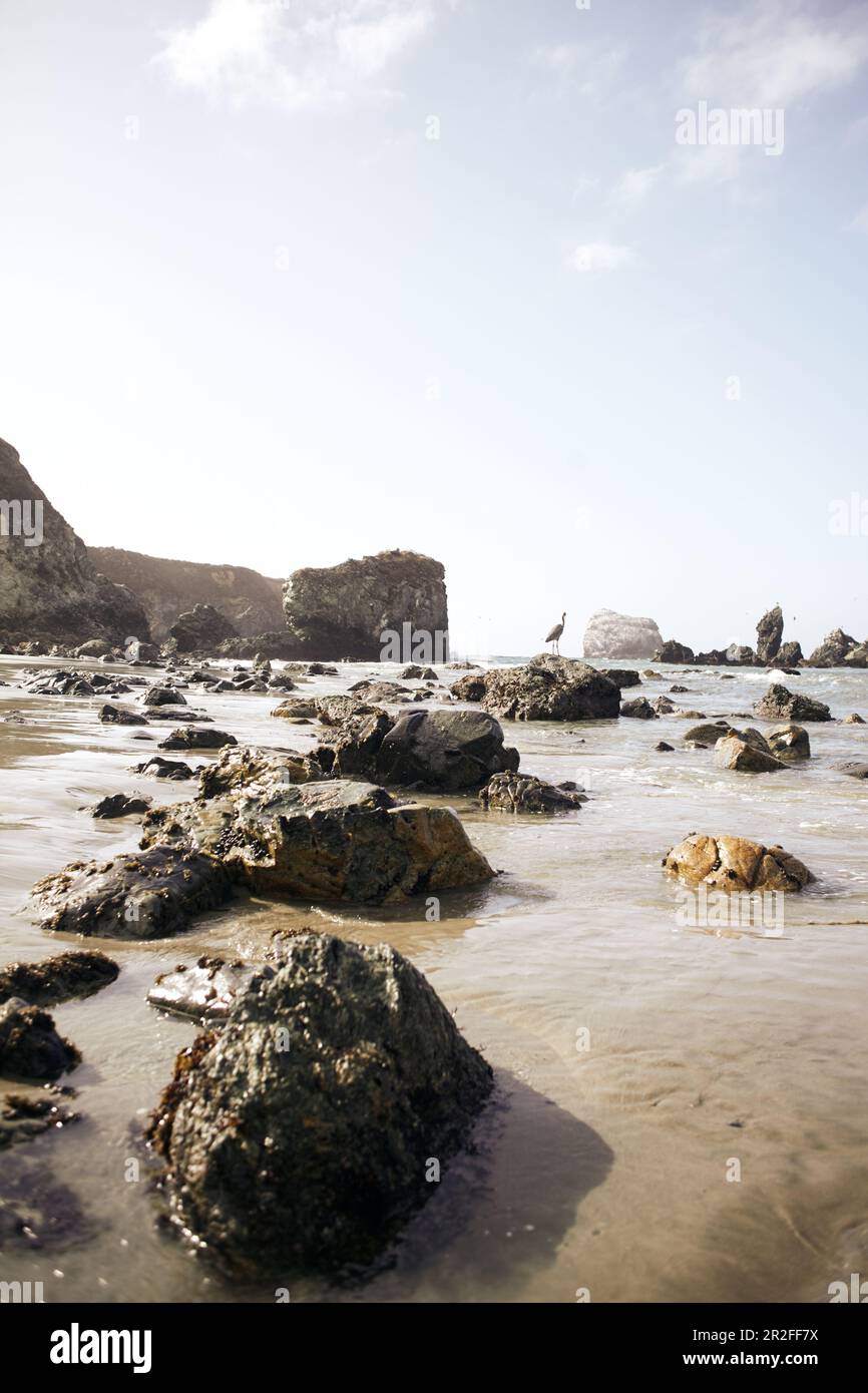 Big sur beach california hi-res stock photography and images - Alamy