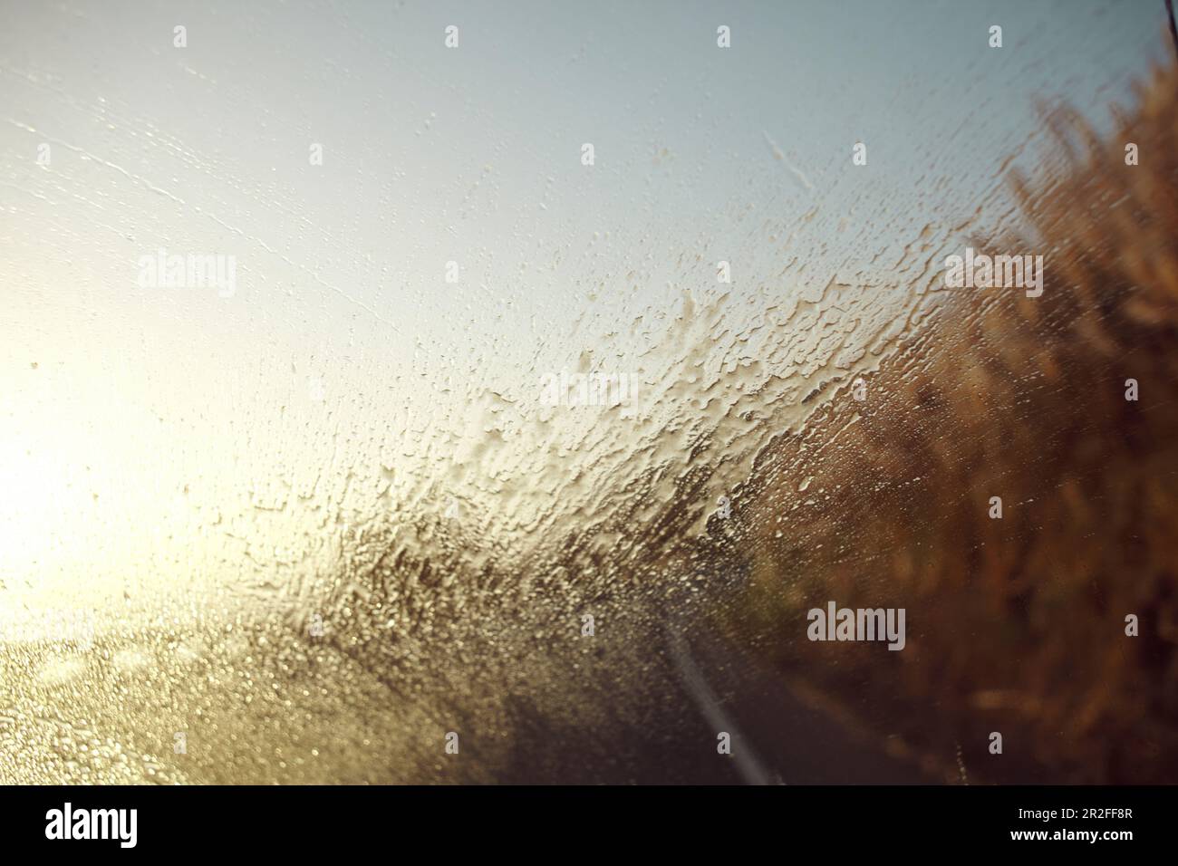 Wet windshield at Big Sur on Highway 1, California, USA Stock Photo - Alamy