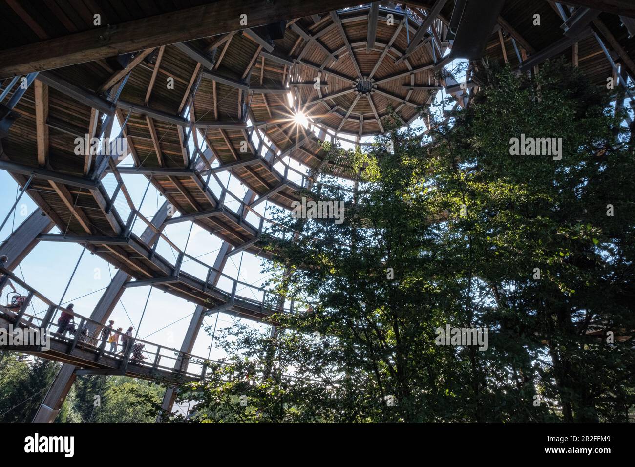 View of the observation tower on the treetop path in Neuschönau ...