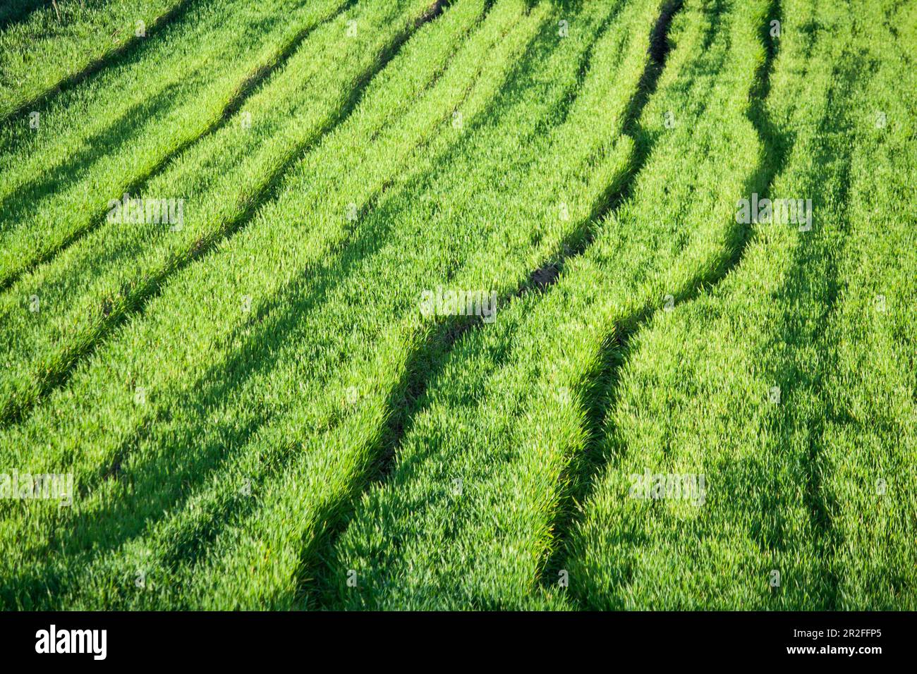 Neat environment hi-res stock photography and images - Alamy