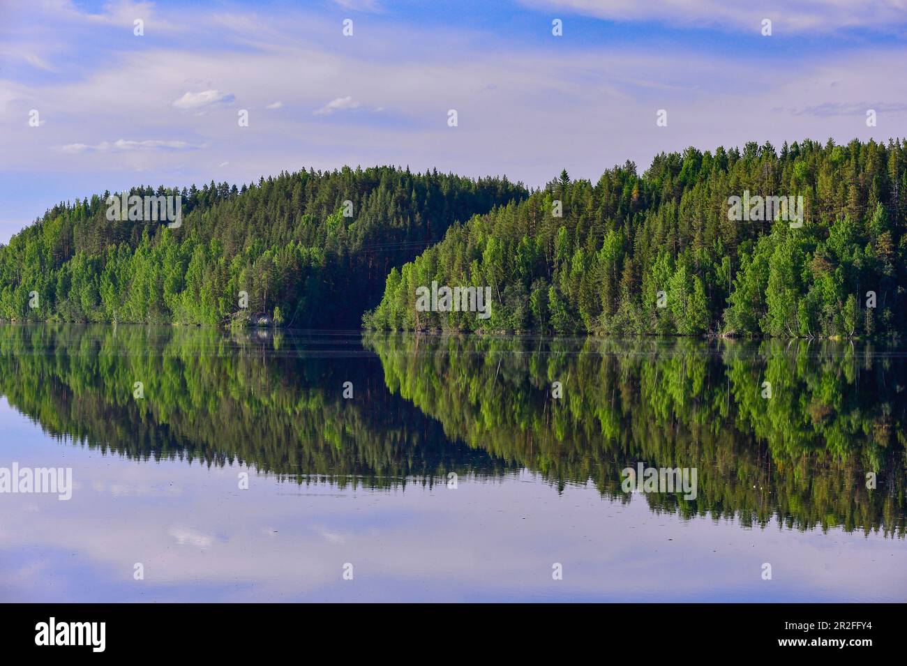 Unusual reflection of the forest in the lake, Junsele, Norrbottens Län ...