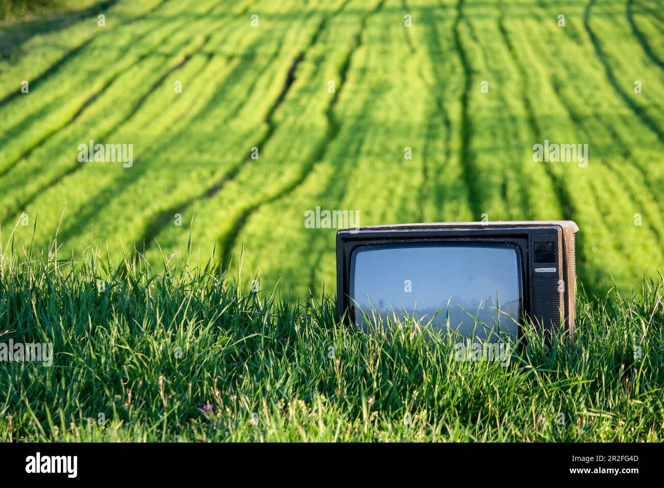 Neglect of environment hi-res stock photography and images - Alamy