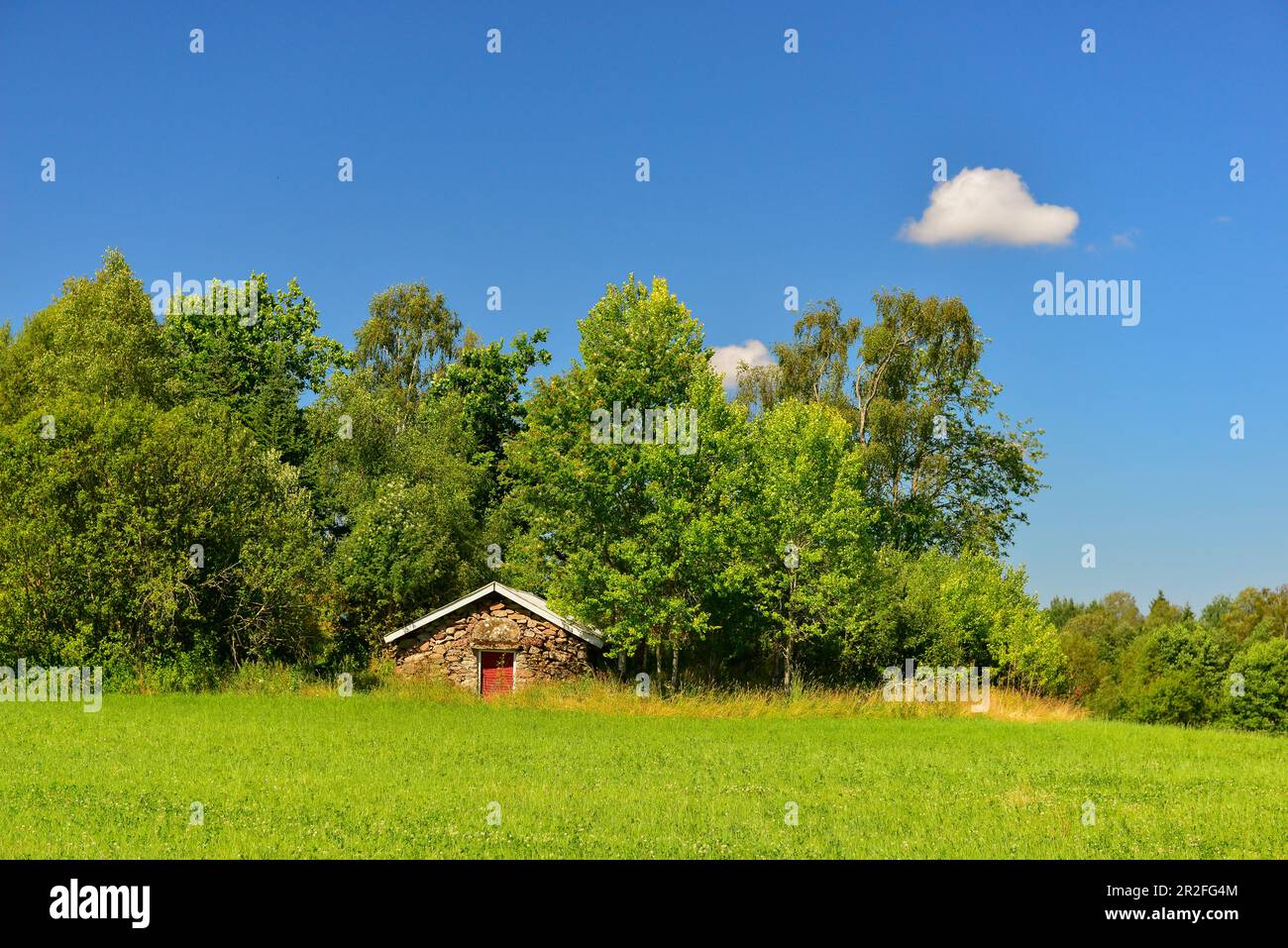Earth cellar hi-res stock photography and images - Alamy