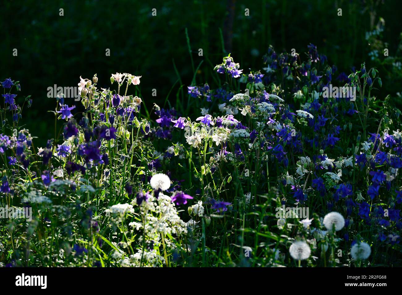 Light shadow interplay hi-res stock photography and images - Alamy