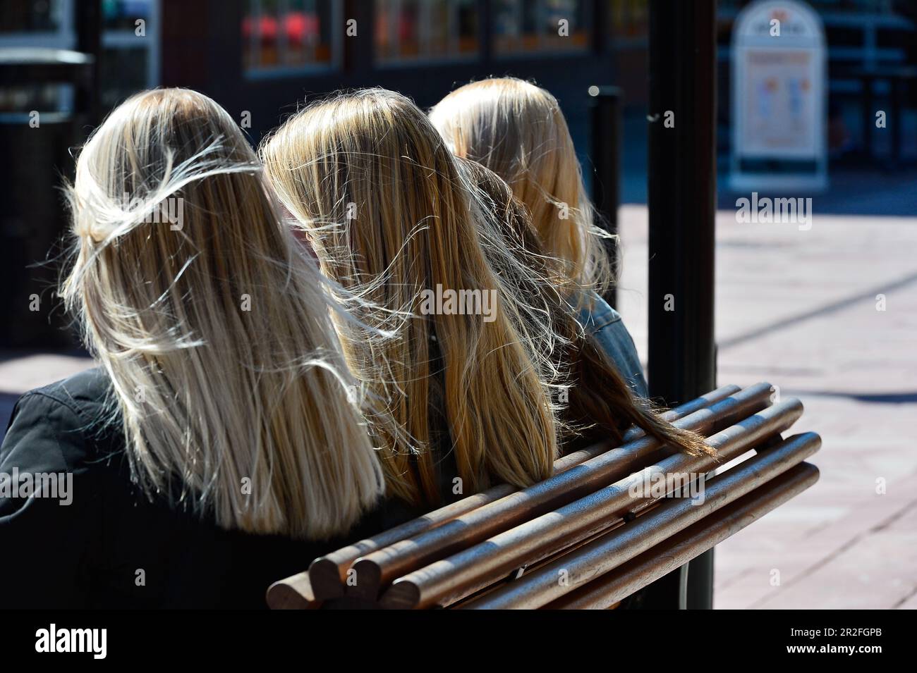 Four young women with typically Swedish blonde hair sit on a bench ...
