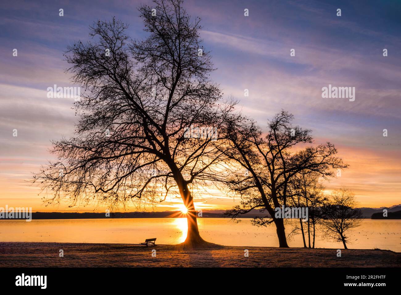 Winter morning on Lake Starnberg, Tutzing, Bavaria, Germany Stock Photo ...