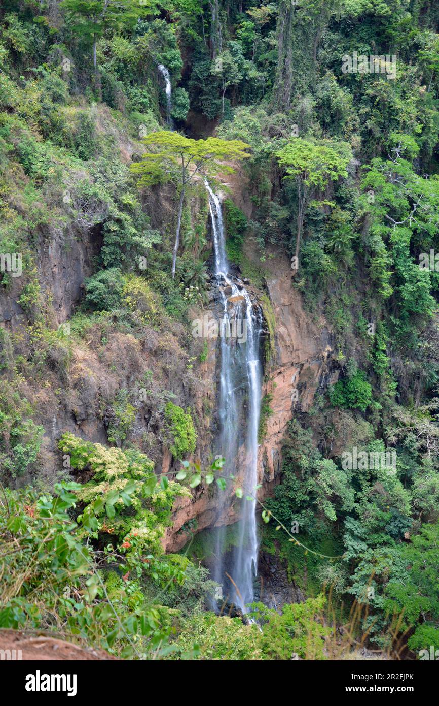 Malawi; Northern Region; north of Livingstonia; Manchewe waterfall ...