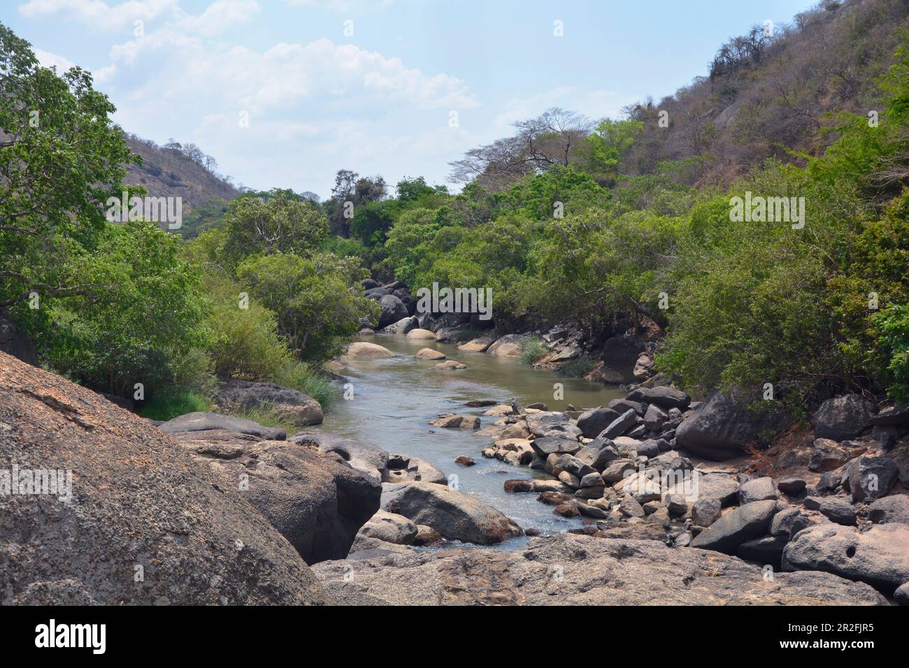 Malawi; Northern Region; on the national road M1; north of Mzuzu; hilly ...