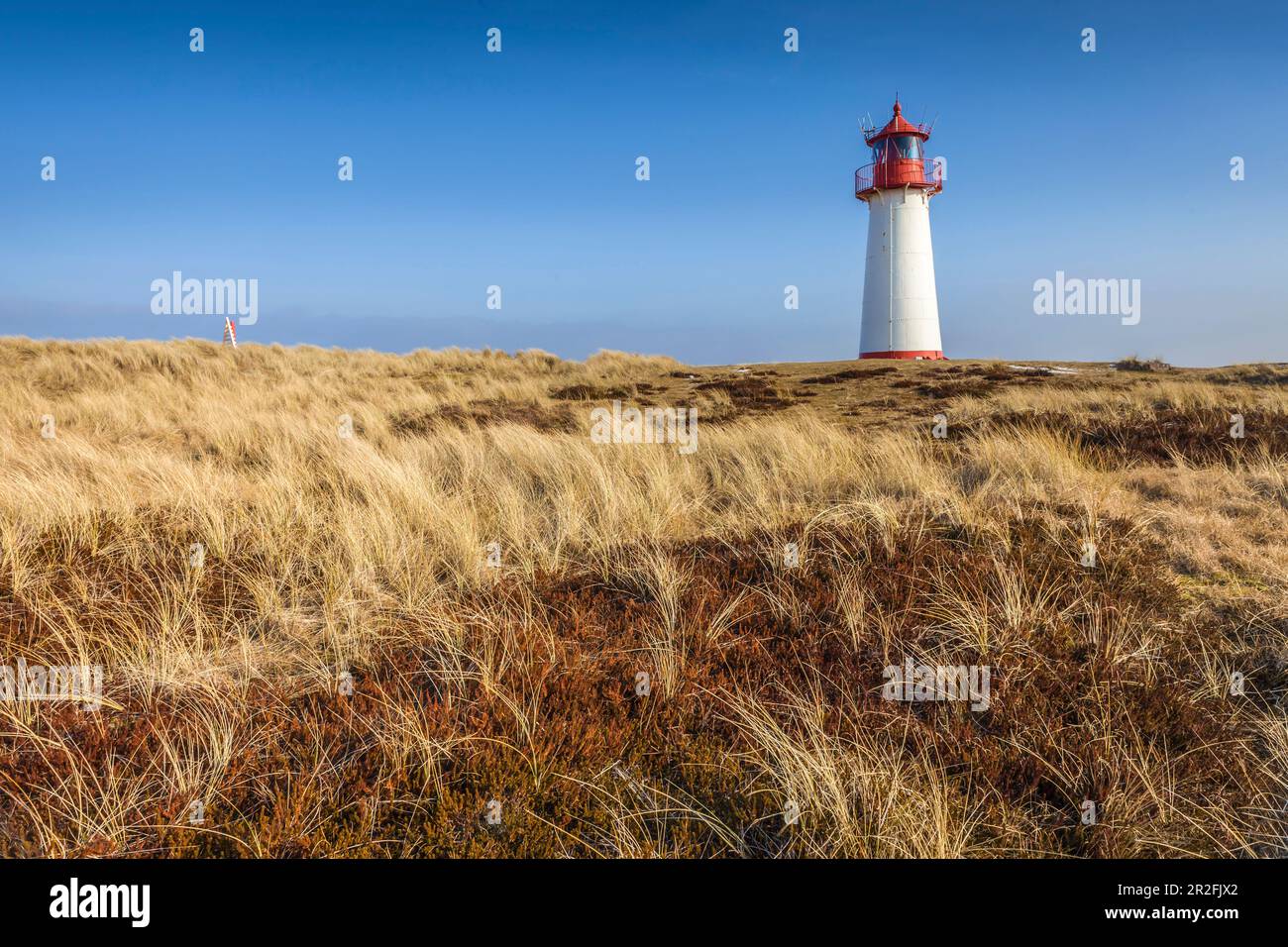 Ellenbogen nature reserve hi-res stock photography and images - Alamy