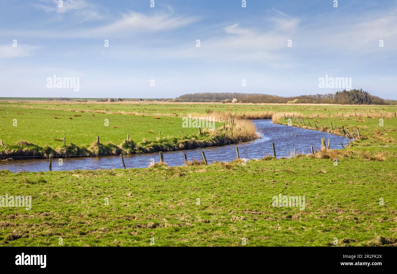 Sii island hi-res stock photography and images - Alamy