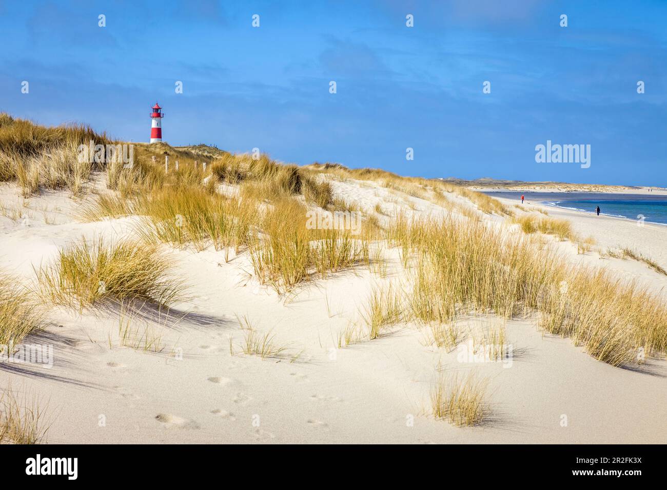 Dune landscape with List-Ost lighthouse on the Ellenbogen Peninsula ...
