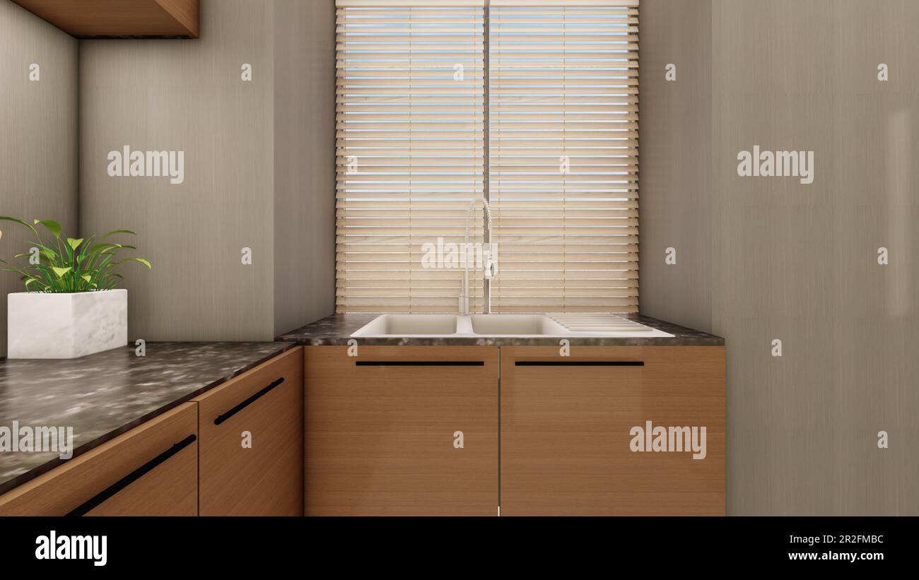 Kitchen counter showing ventilation sink and indoor plant Stock Photo ...