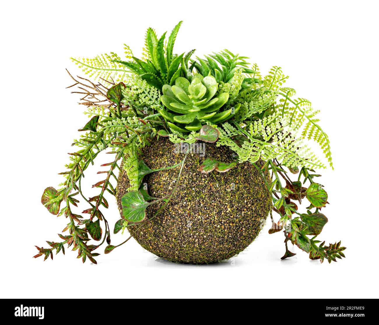 Interior plants background Cut Out Stock Images & Pictures - Alamy