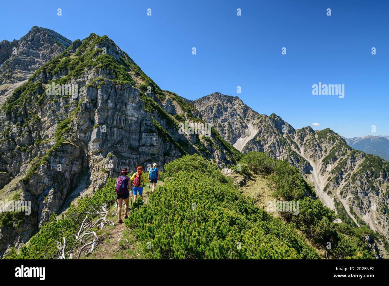 Three headed people hi-res stock photography and images - Alamy