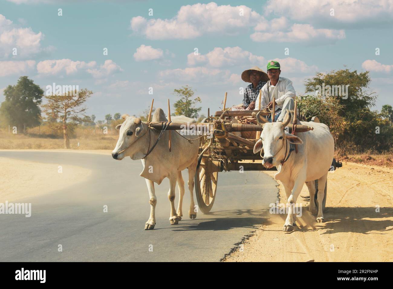 Buffalo pulling cart hi-res stock photography and images - Alamy