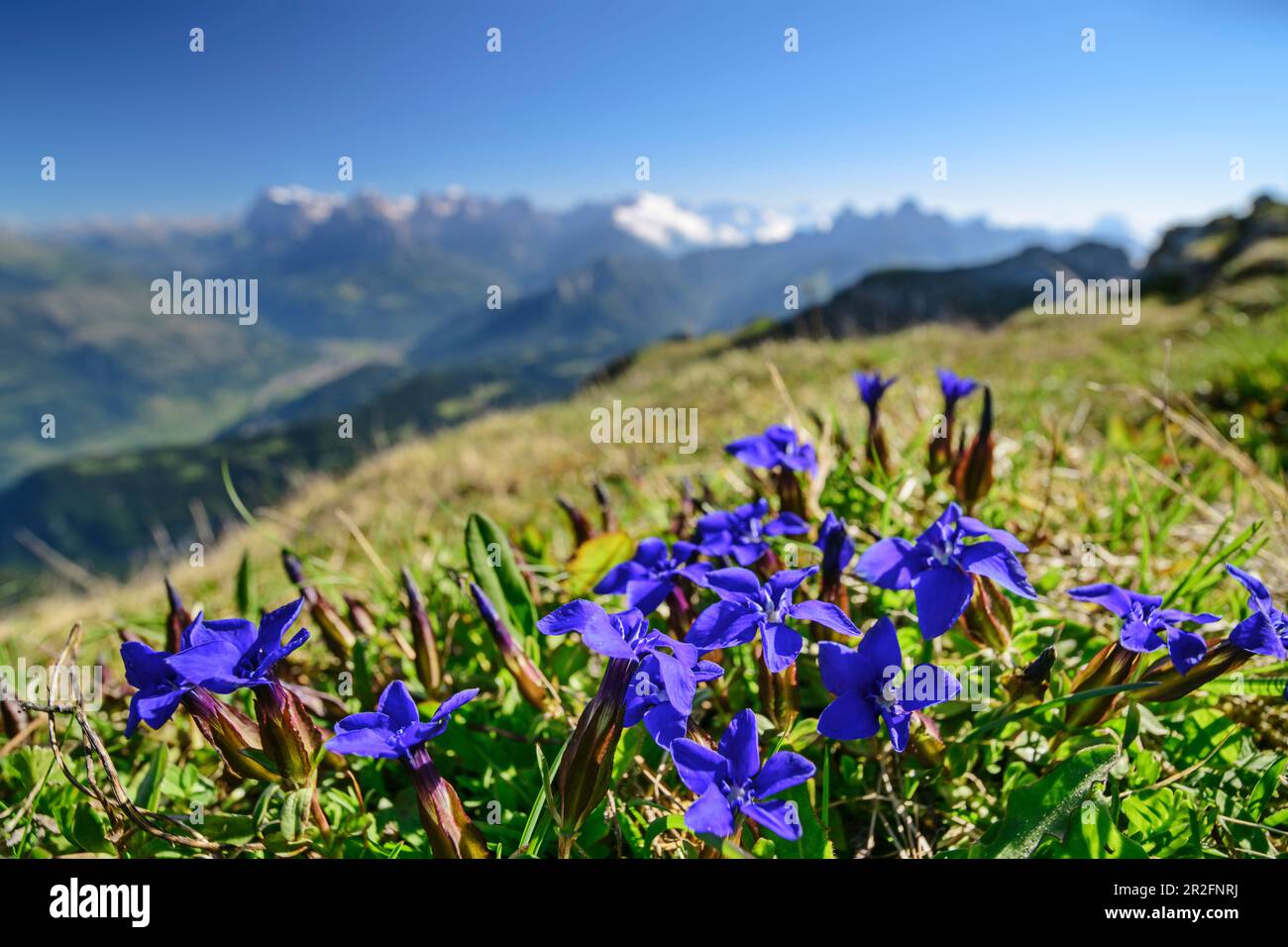 One dol hi-res stock photography and images - Alamy
