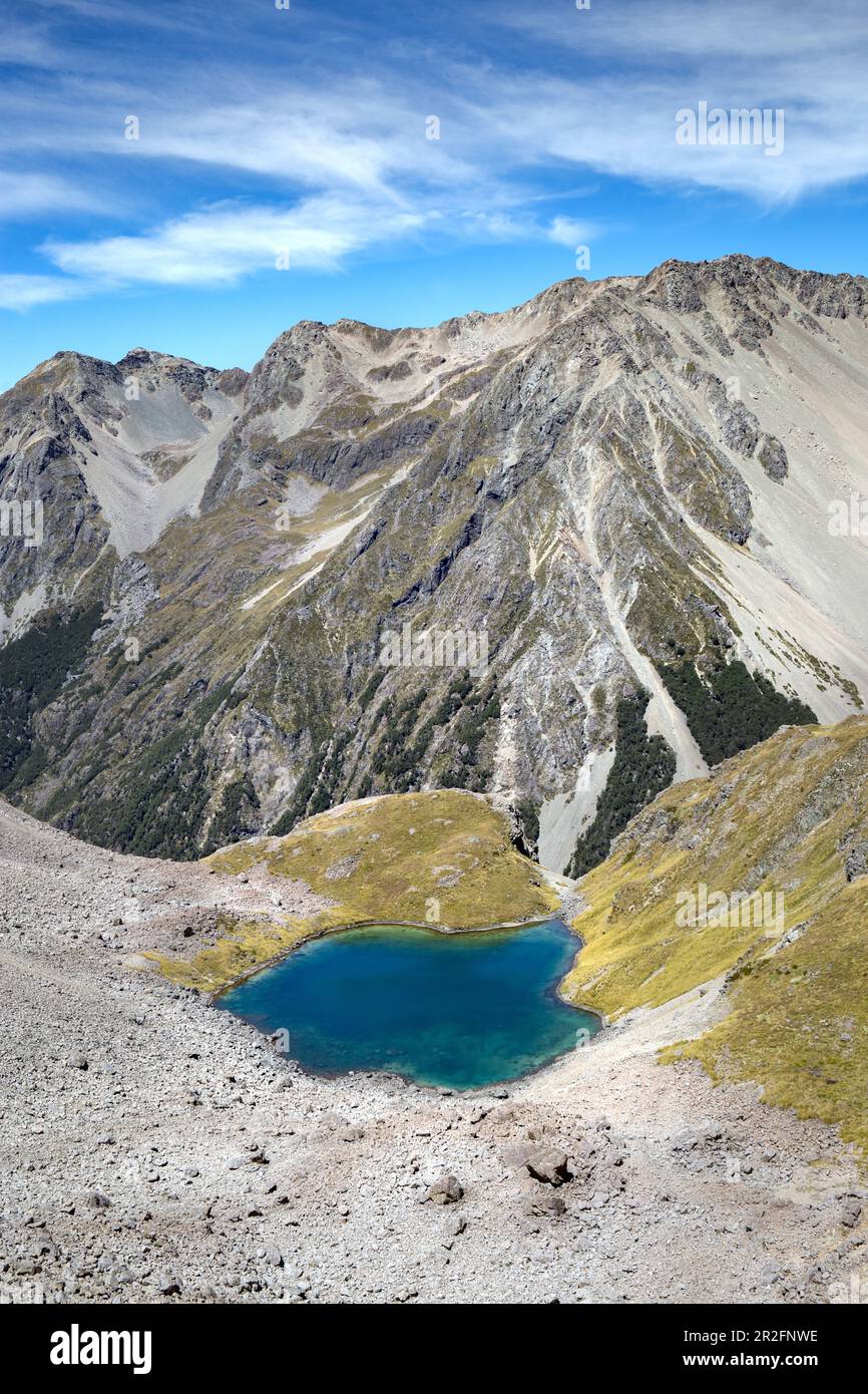 Morning mood at Angelus Hut in Tasman, Nelson Lakes National Park, New ...