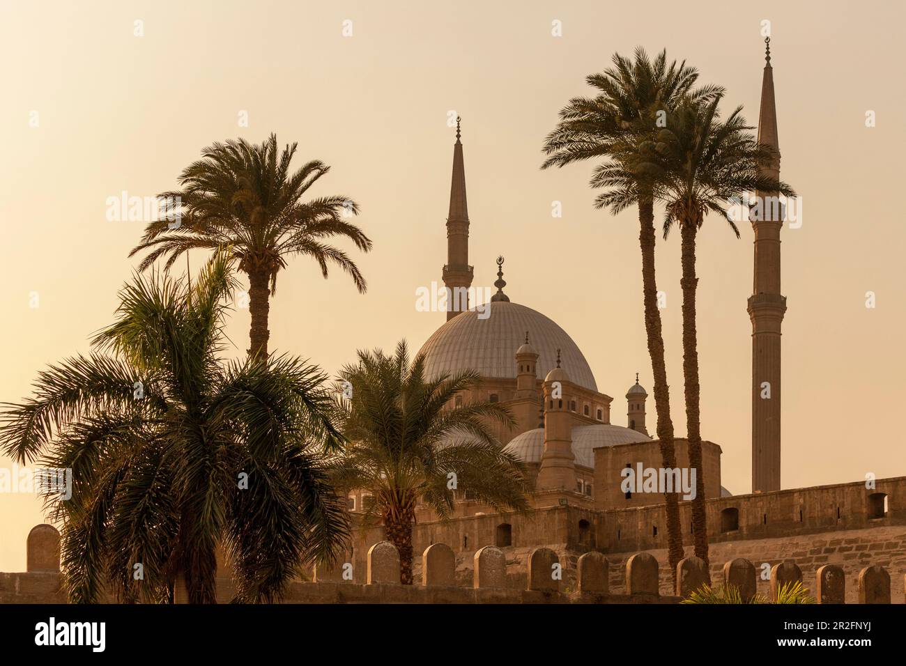 Domes and minarets of the Great Mosque of Muhammad Ali Pasha, the ...