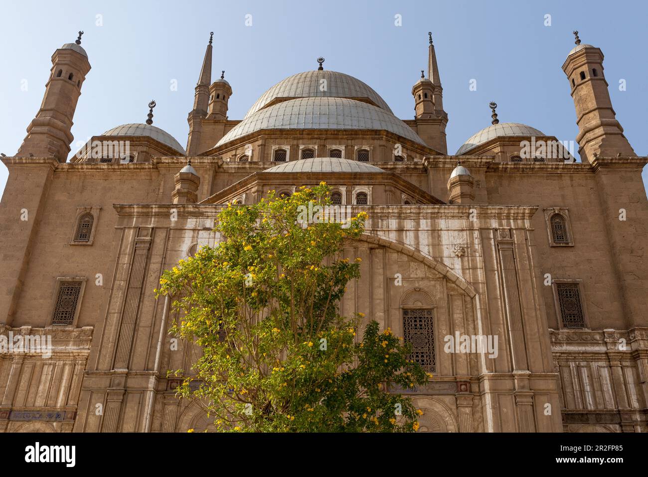 Domes and minarets of the Great Mosque of Muhammad Ali Pasha, the ...