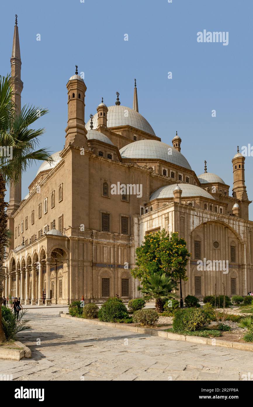 Domes and minarets of the Great Mosque of Muhammad Ali Pasha, the ...