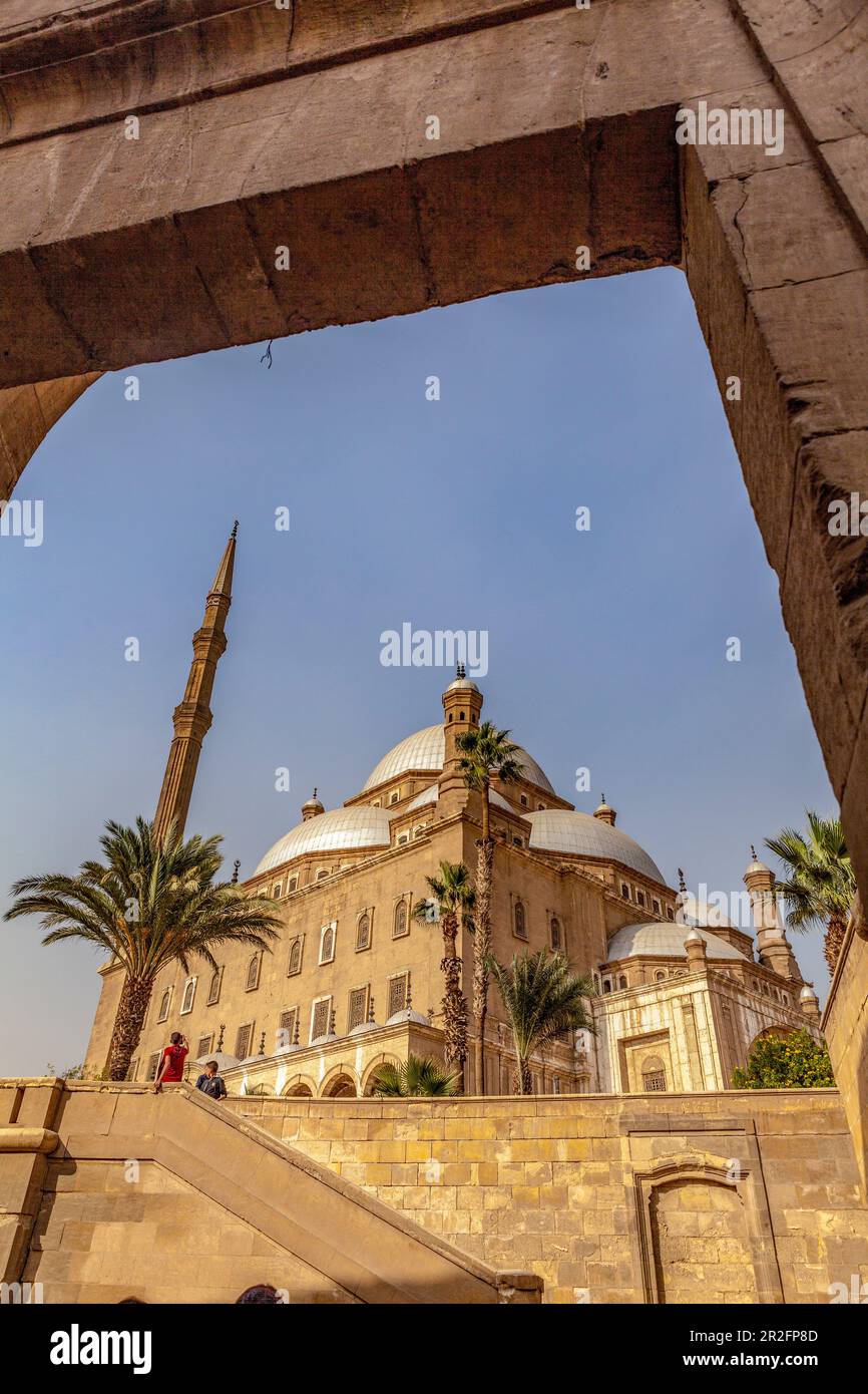 Domes and minarets of the Great Mosque of Muhammad Ali Pasha, the ...