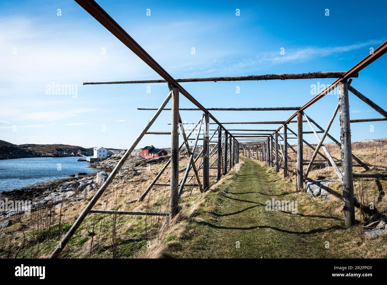 Dried fish racks on the island of Nordöyan, fishing village, Folda ...