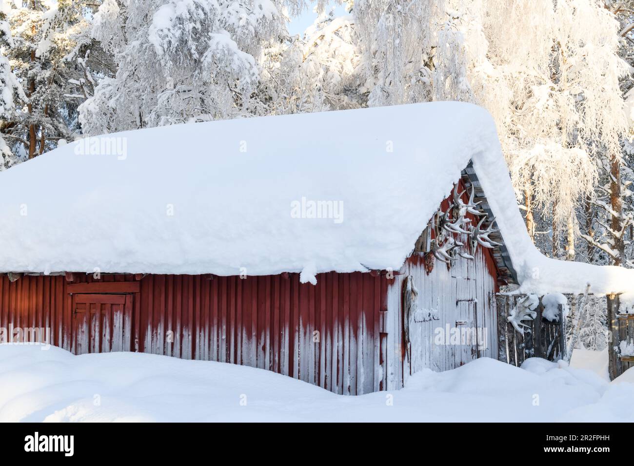 Rustic barn in Lapland in winter, Sweden Stock Photo - Alamy