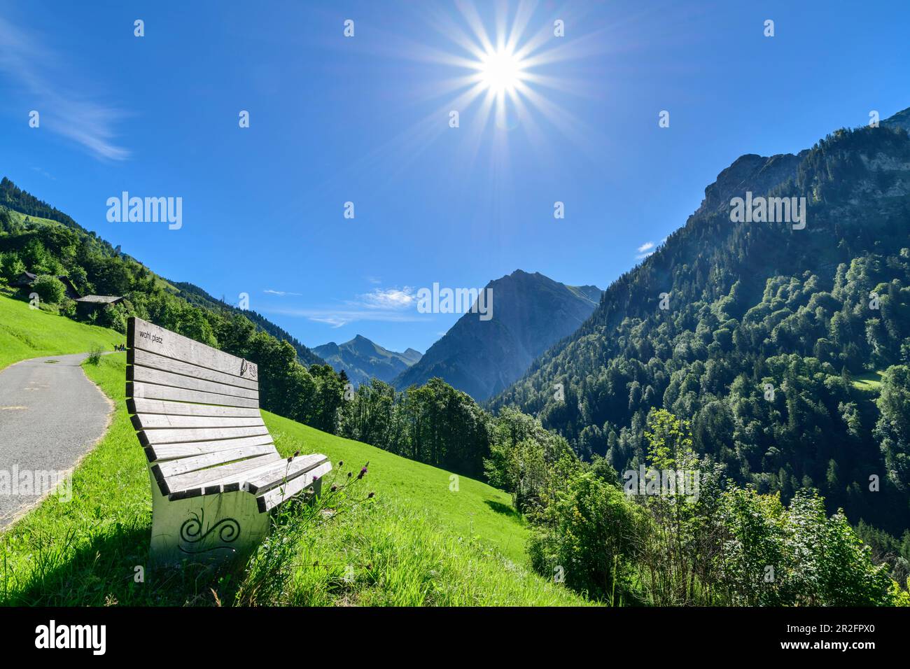 Observation bench with a view of the Lechquellen Mountains, Großes ...