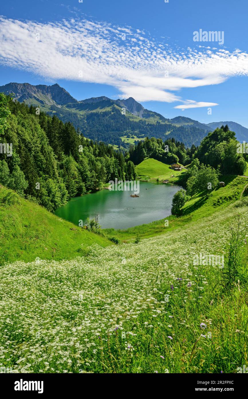 Seewaldsee with Lechquellengebirge in the background, Seewaldsee ...