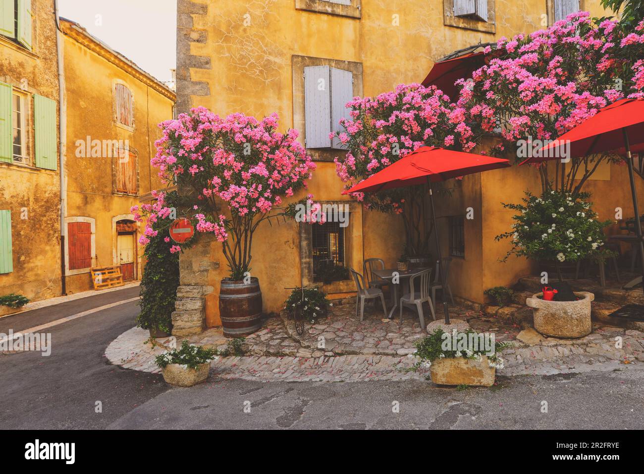 France Provence street, ancient houses with green plant and blooming ...
