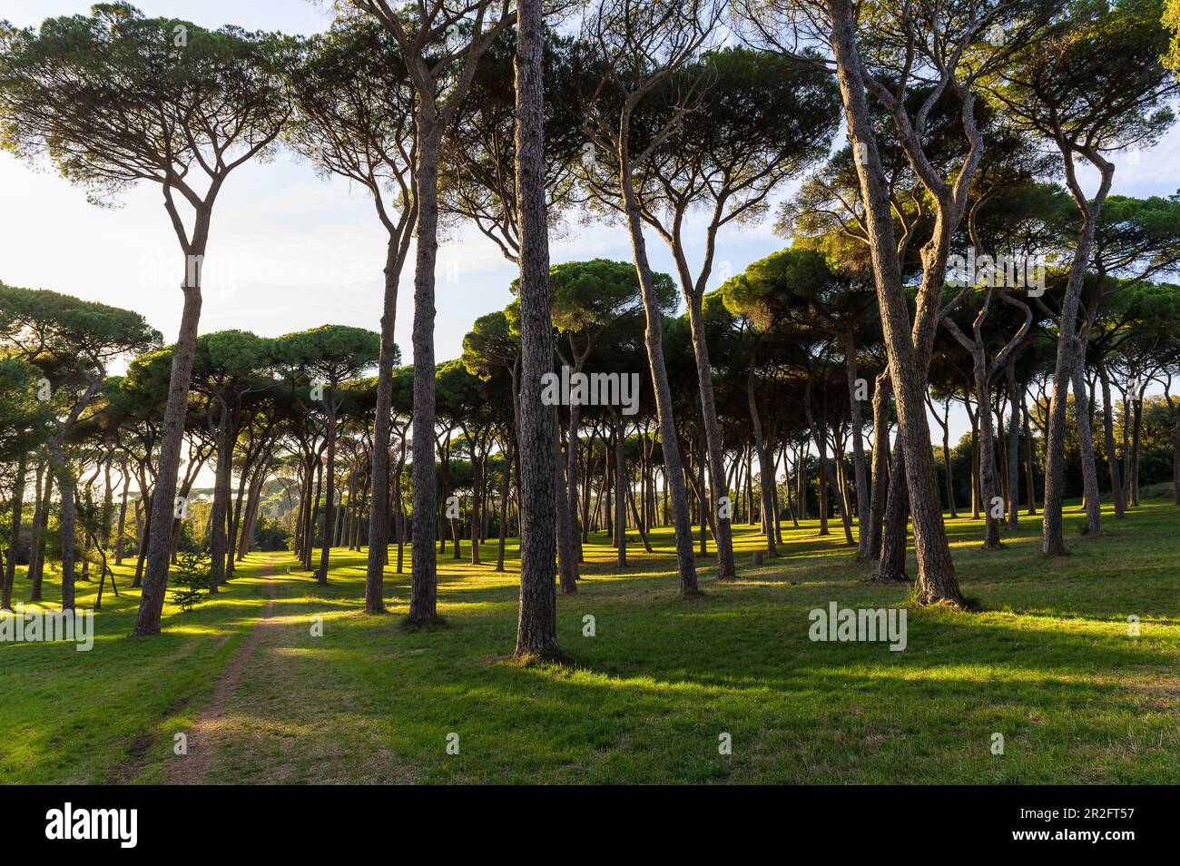 Villa doria pamphilj park rome hi-res stock photography and images - Alamy