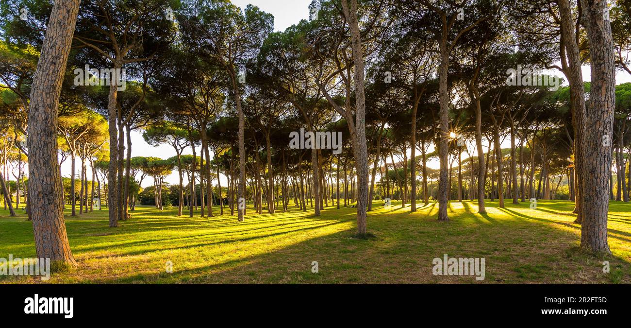 Crown villa gardens hi-res stock photography and images - Alamy