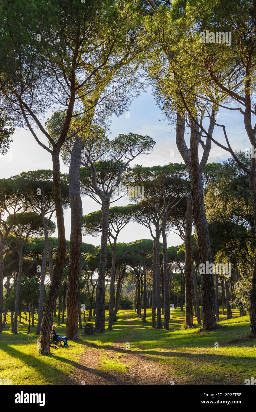Crown villa gardens hi-res stock photography and images - Alamy