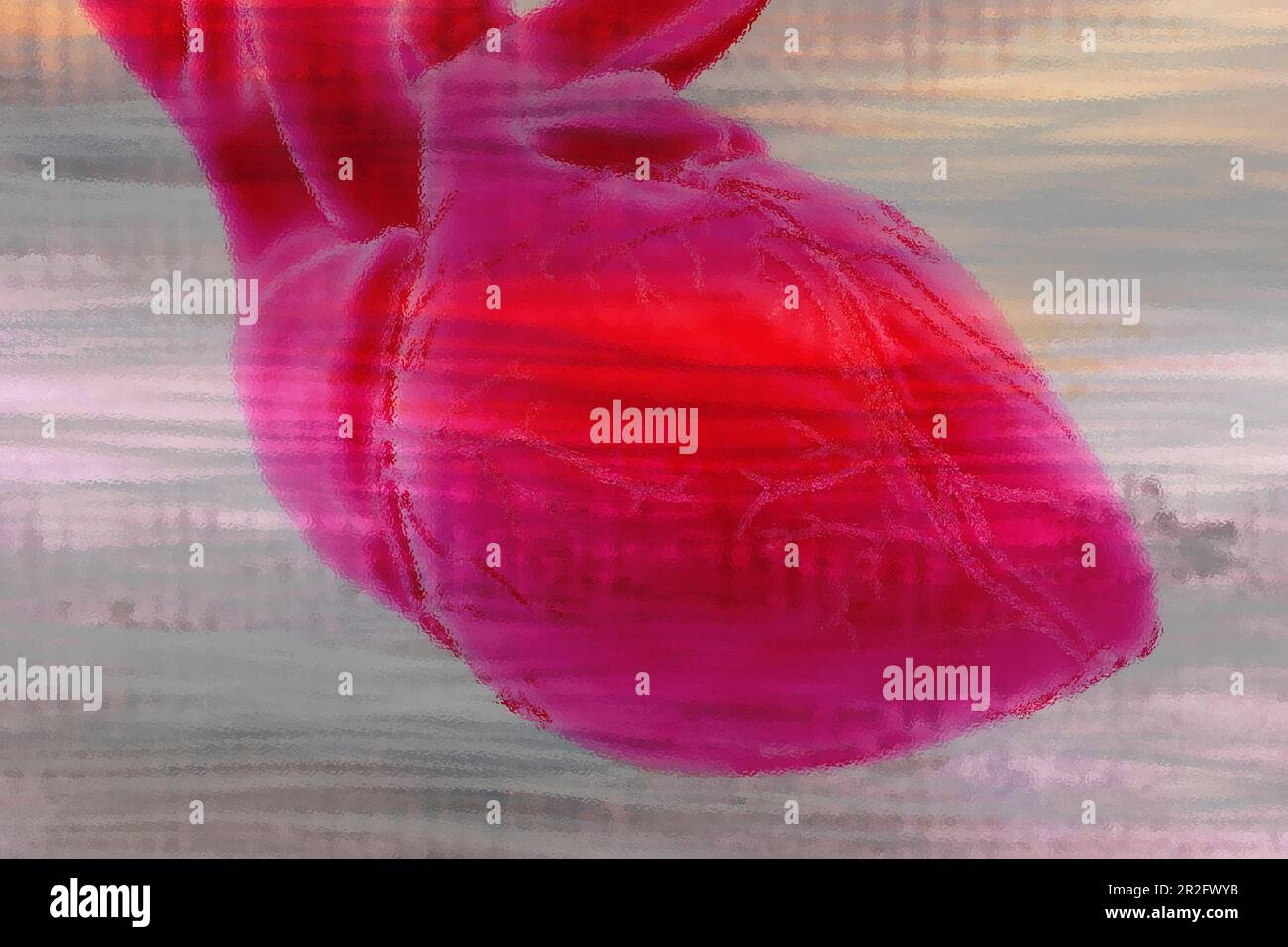 Illustration of a heart The heart, a hollow muscle, lies in the middle ...