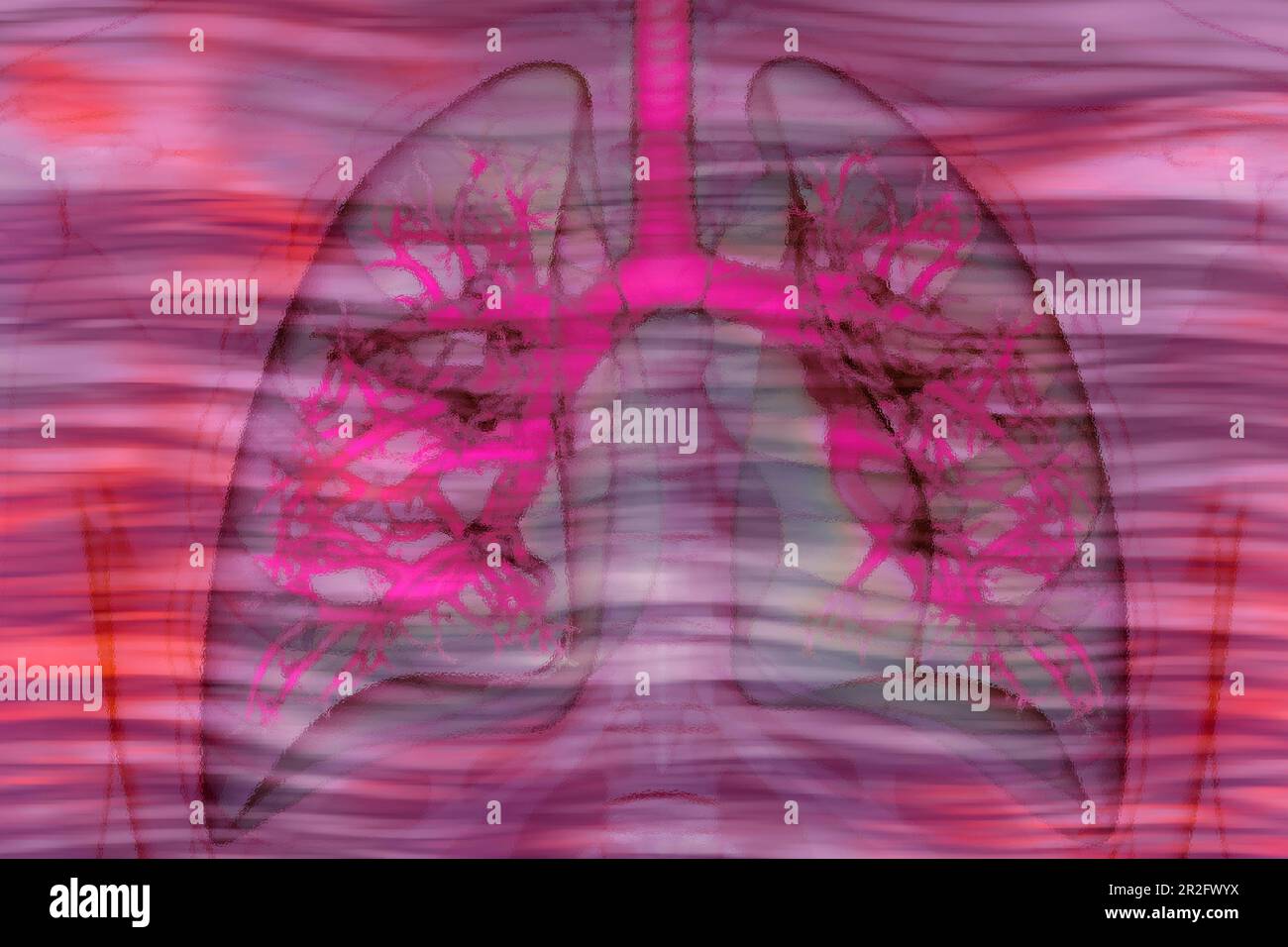 Illustration of the lungs The lungs are the organ in our body that ...