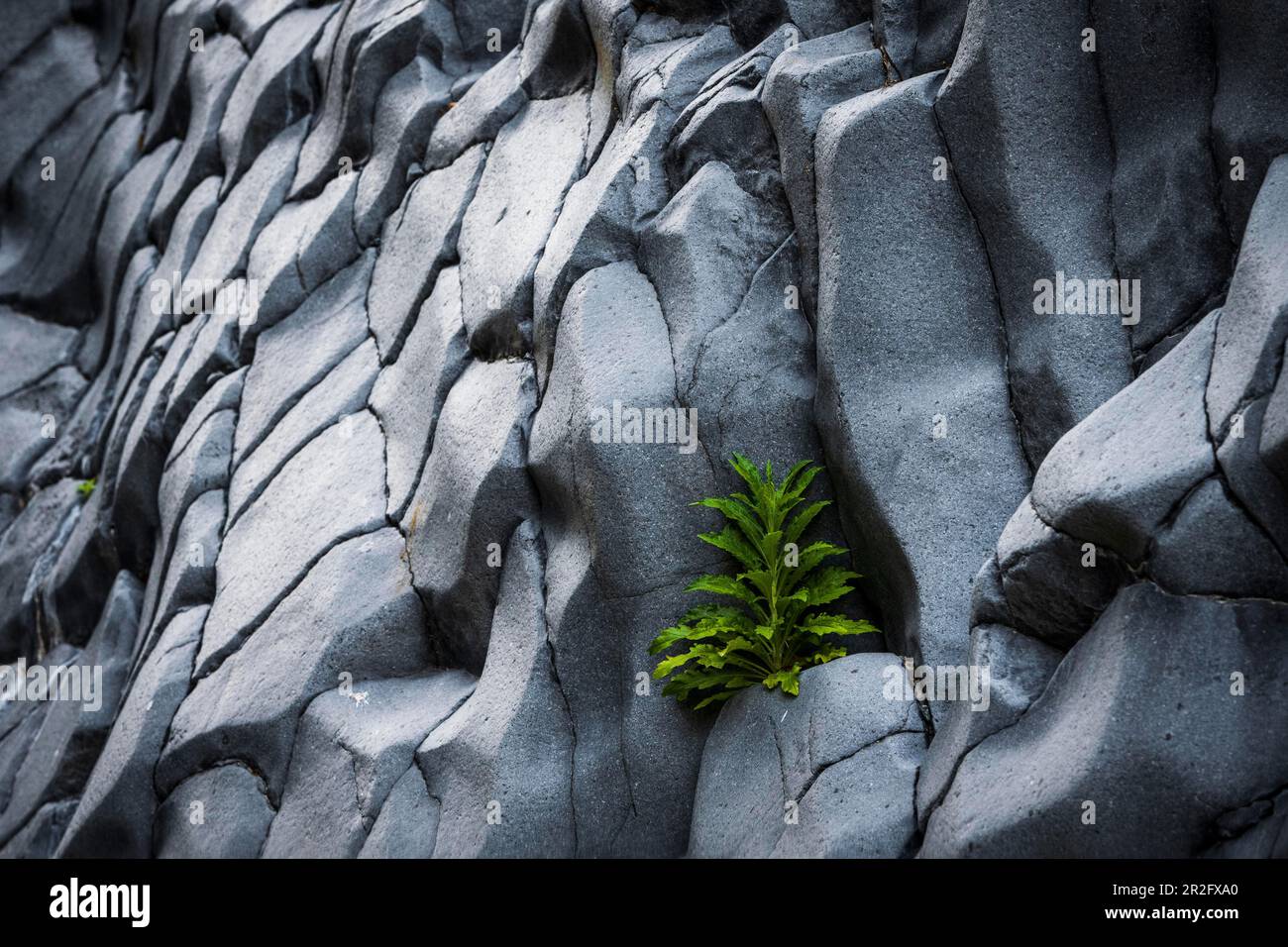 Rock formations of basalt and lava rock in the river park Gole dell ...
