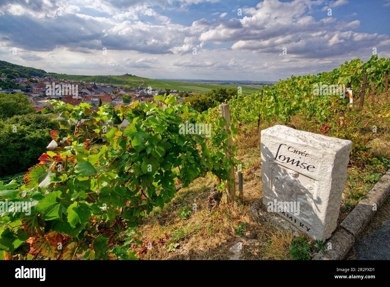 Wine growing in Champagne, Montagne de Reims, Route du Champagne, Le ...
