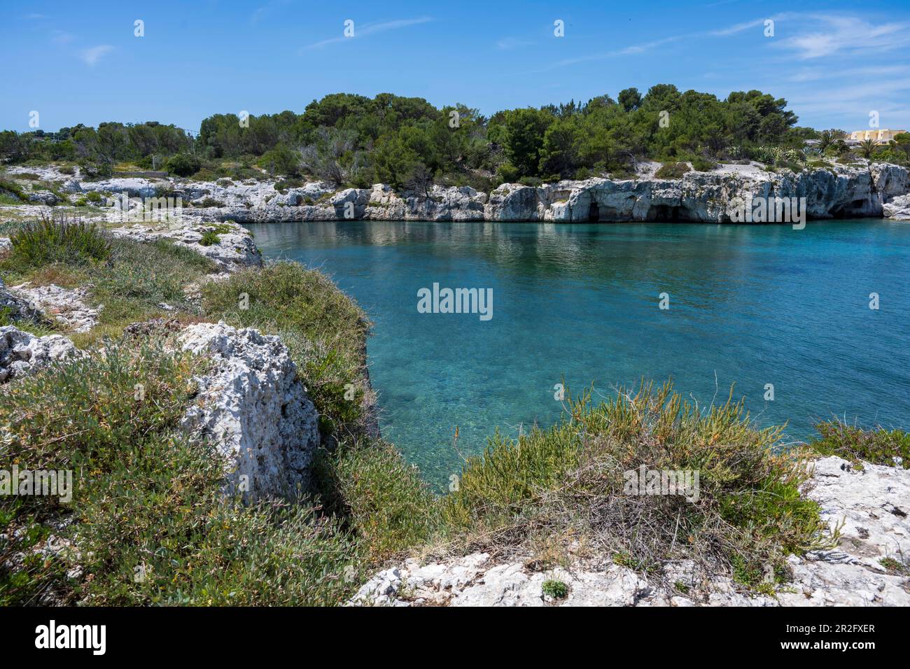 Brucoli hi-res stock photography and images - Alamy