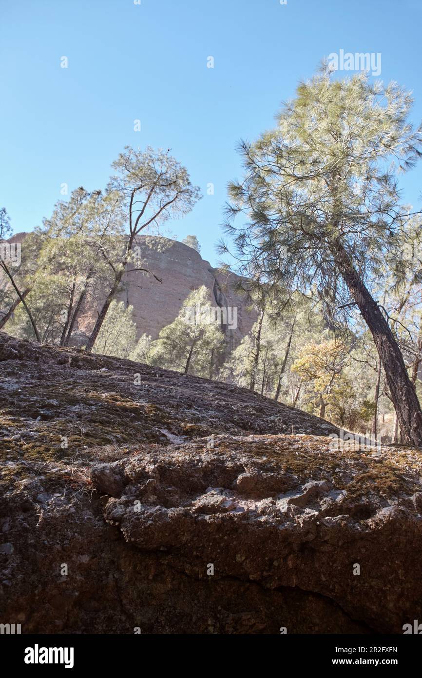 Rocks and trees in Pinnacles National Park, California, USA Stock Photo ...